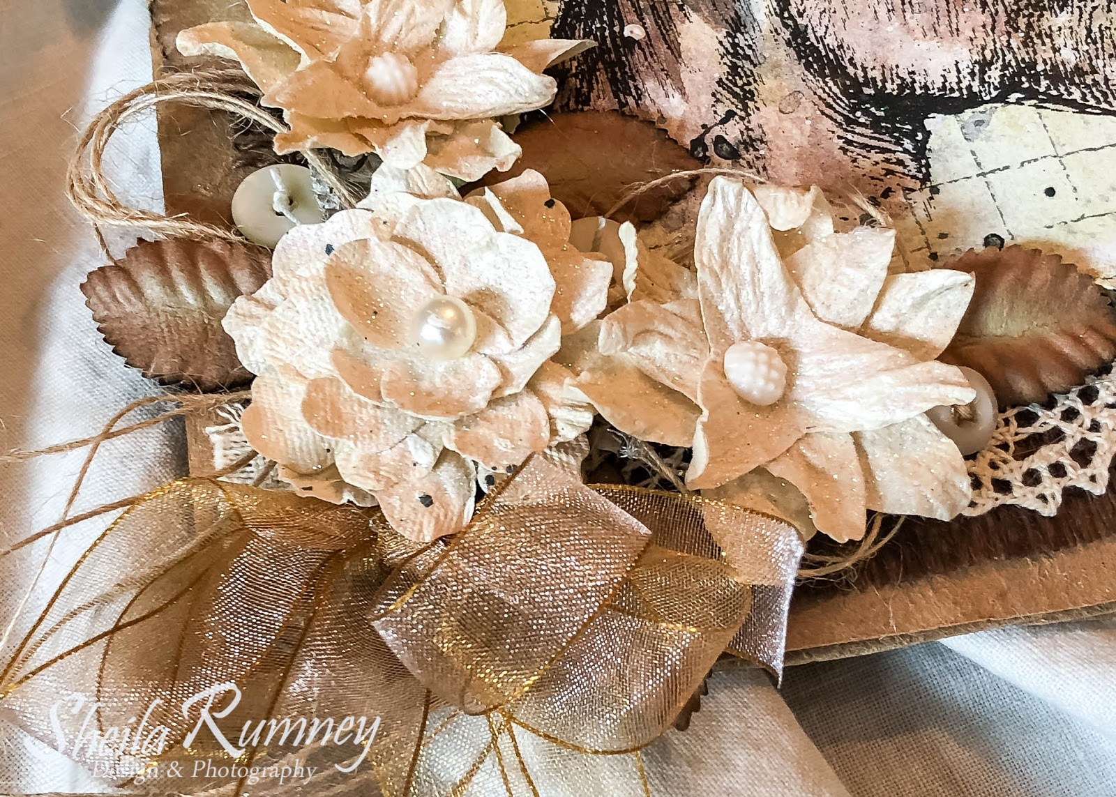 Really Reasonable Ribbon Blog: Fill Your Life With Adventures