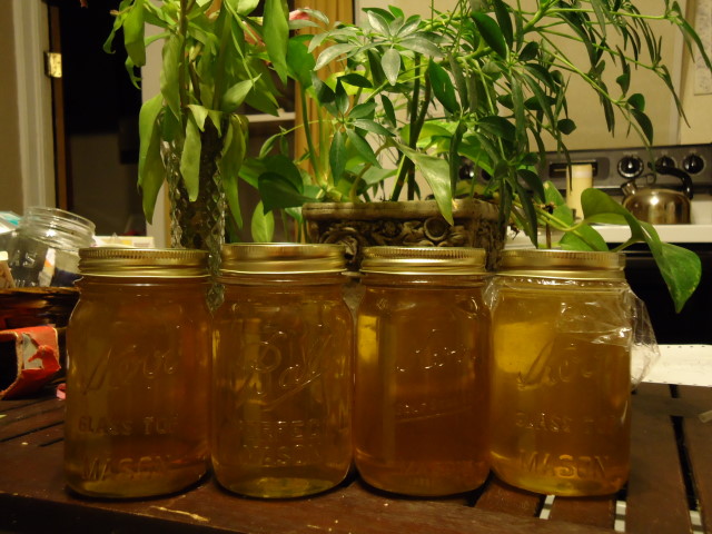 I Can Do It Myself!: Guest Experiment: "Make" Your Own Honey
