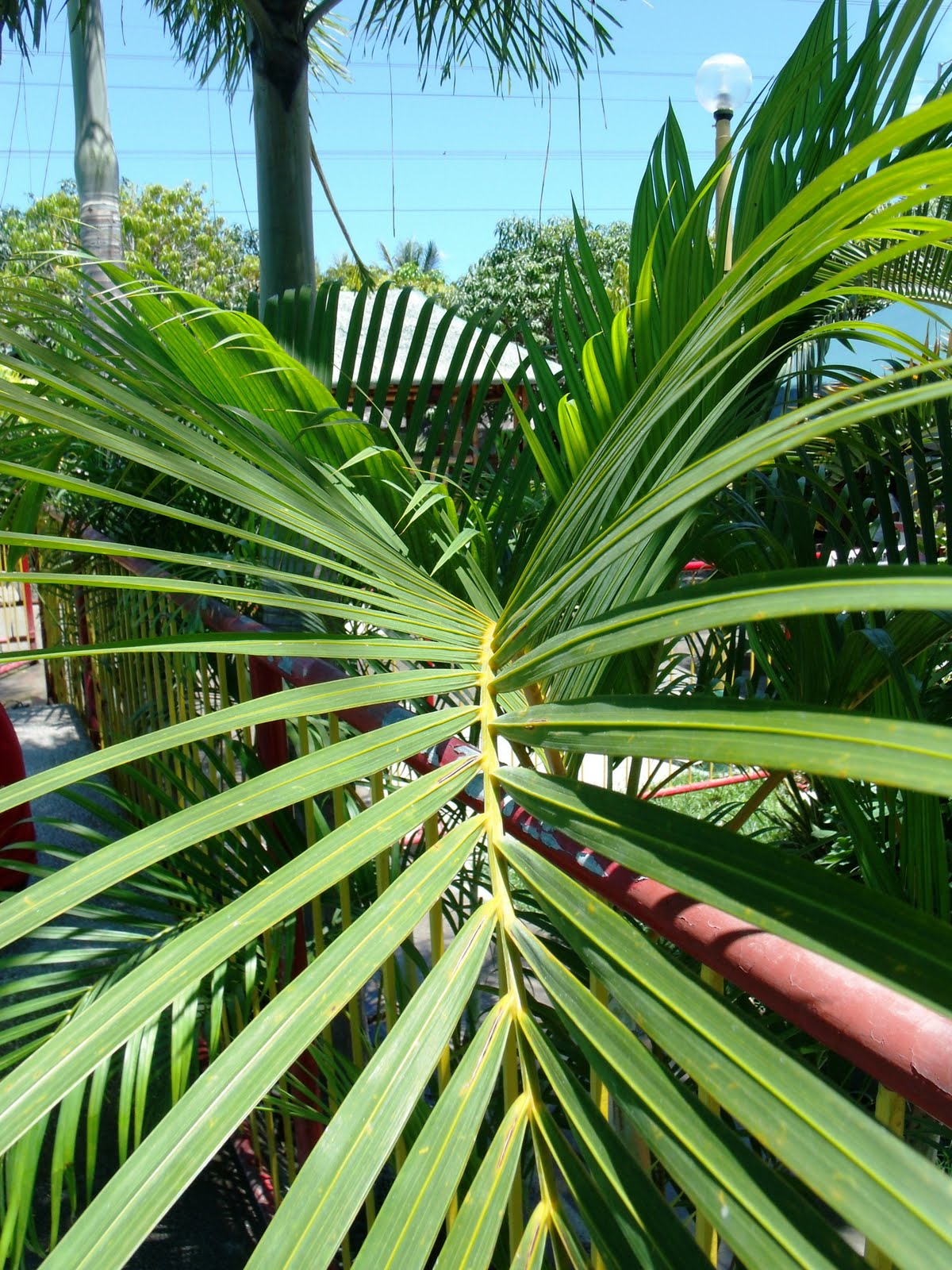 Traveling Morion | Travel + Photography: Morion's PhotoTravel Diary ...