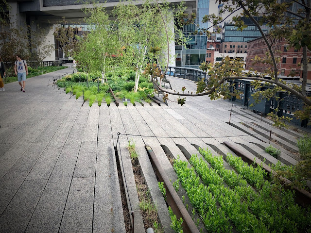 The High Line: A New York City Linear Park