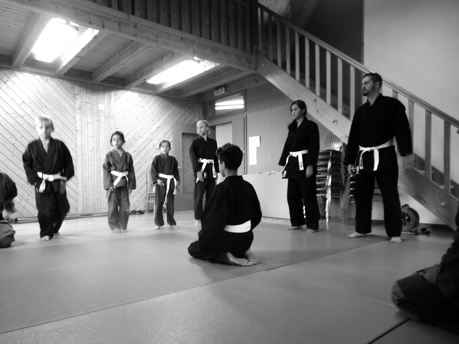 Ninpo Nin-Jutsu: Ninpo Nin-Jutsu: Camp d’Été 2022 + Camp de la ...