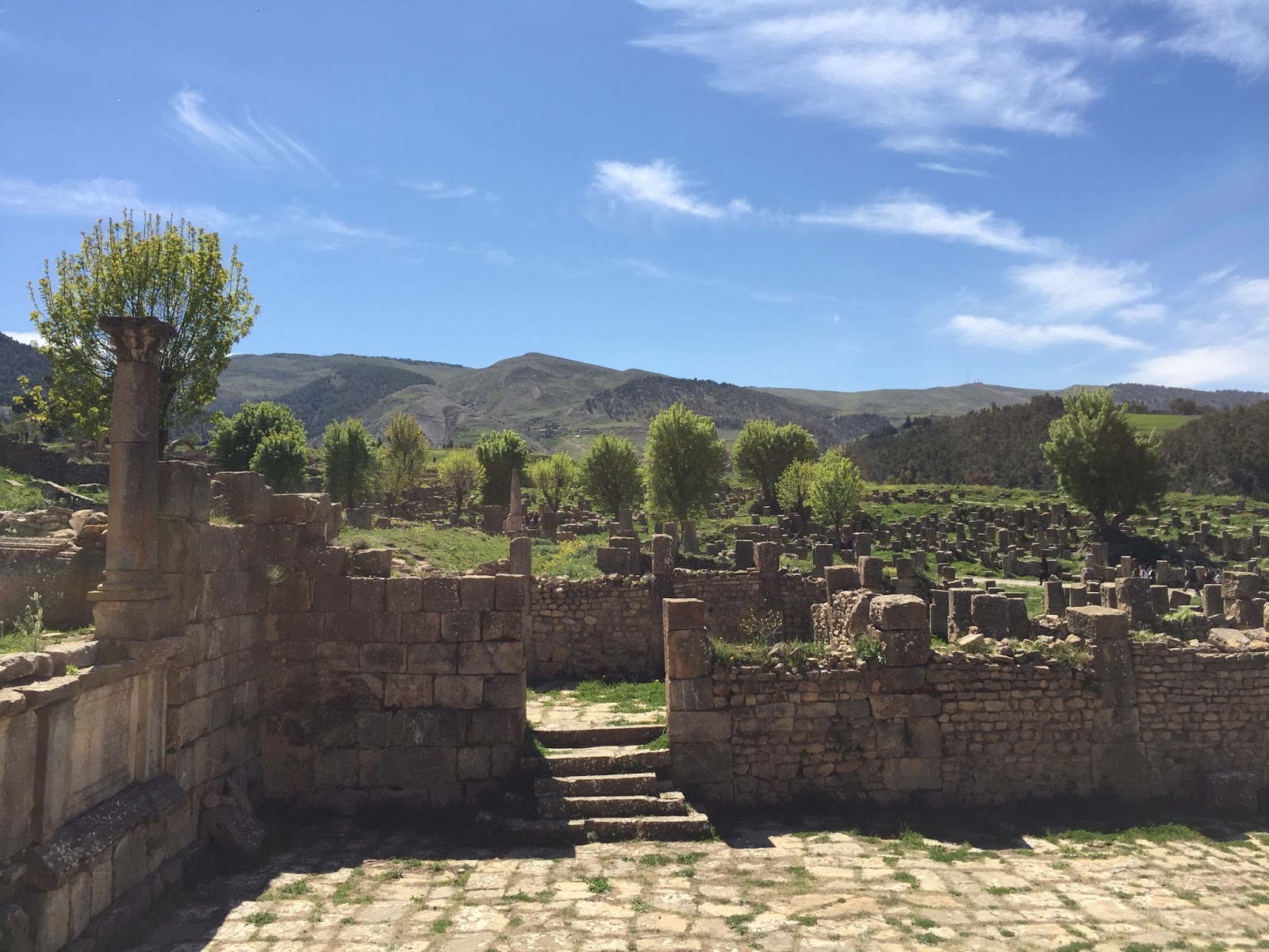 Tocho T8: Djemila (Cuicul, ciudad romana en Argelia), entre el comercio ...