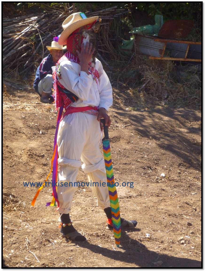 Cultura Indígena Triqui