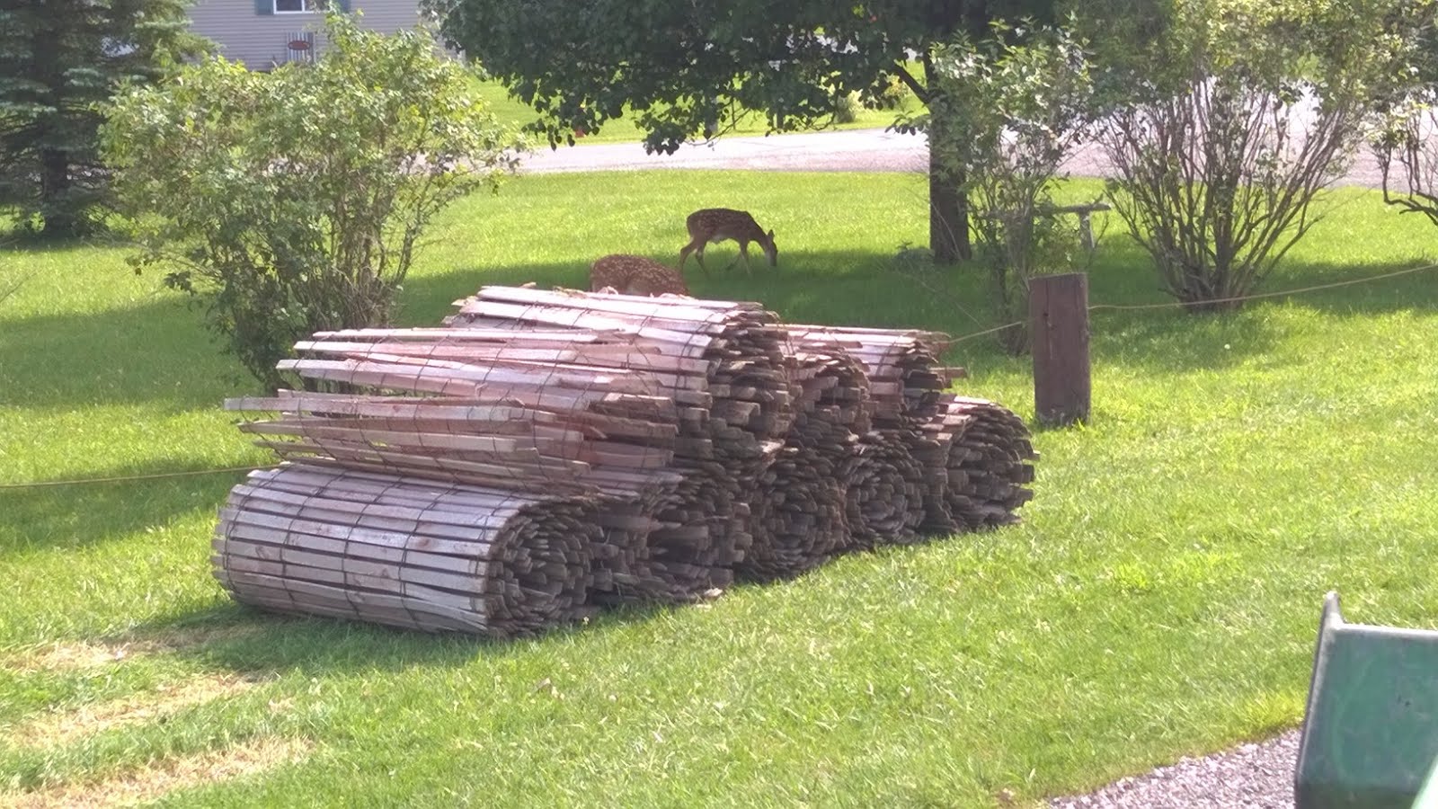 The Bayles Lake Blog