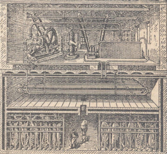 S T R A V A G A N Z A: HISTÓRIA DA REFRIGERAÇÃO