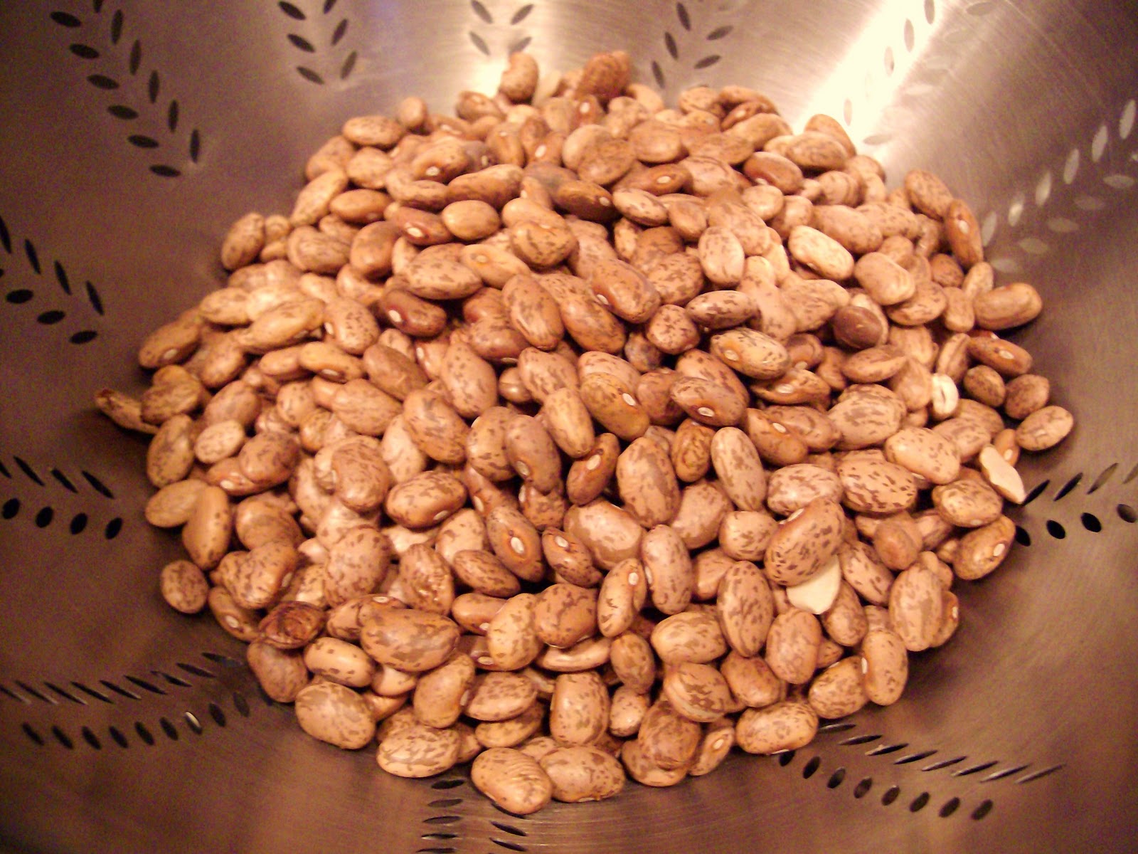 Millennium Media Entertainment: Television Talent Dietary Tips ...