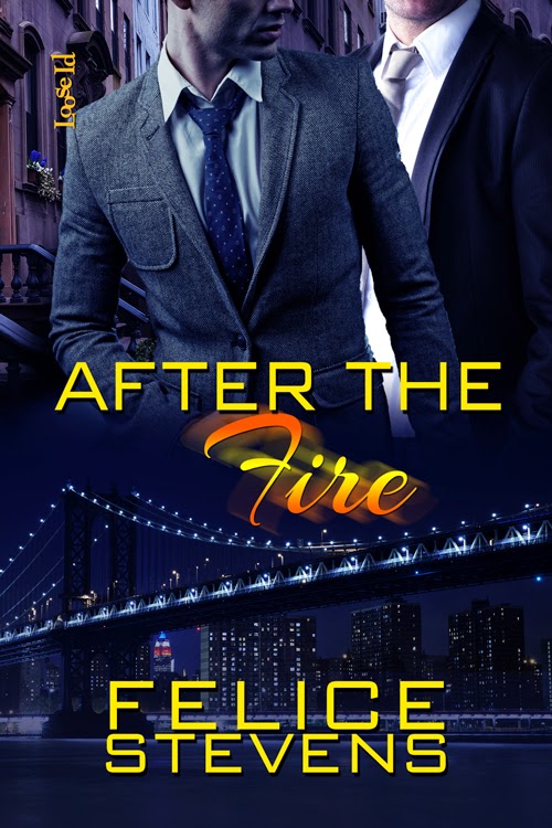 Carly's Book Reviews: After the Fire by Felice Stevens: #Review # ...