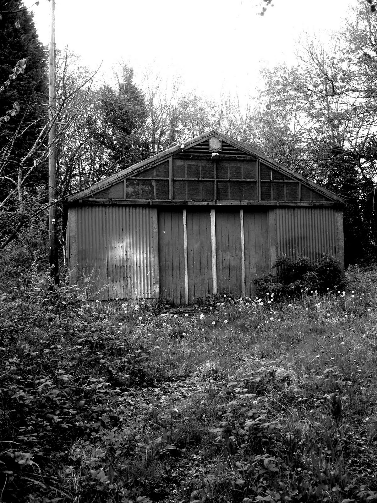 Simplicity - Eirian Thomas