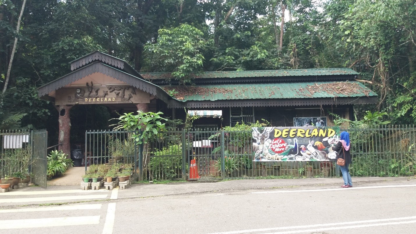 Mohd Faiz bin Abdul Manan: Deerland Park @ Lanchang