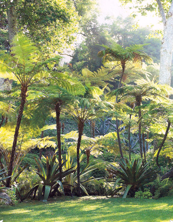 paradis express: Art Luna Garden