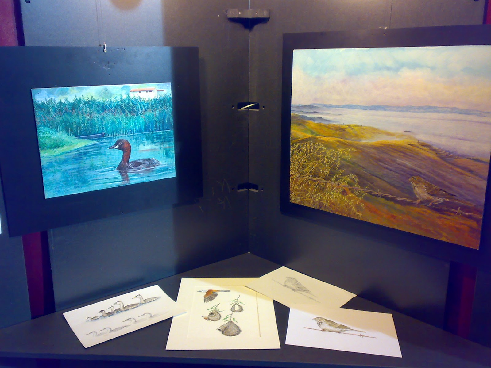 Alessandro Sacchetti - Wildlife Painter: La tappa della mostra "in ...