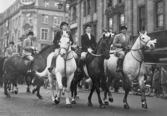 Beragam Manfaat Kuda Bagi Kehidupan Manusia ~ SEPUTAR KUDA