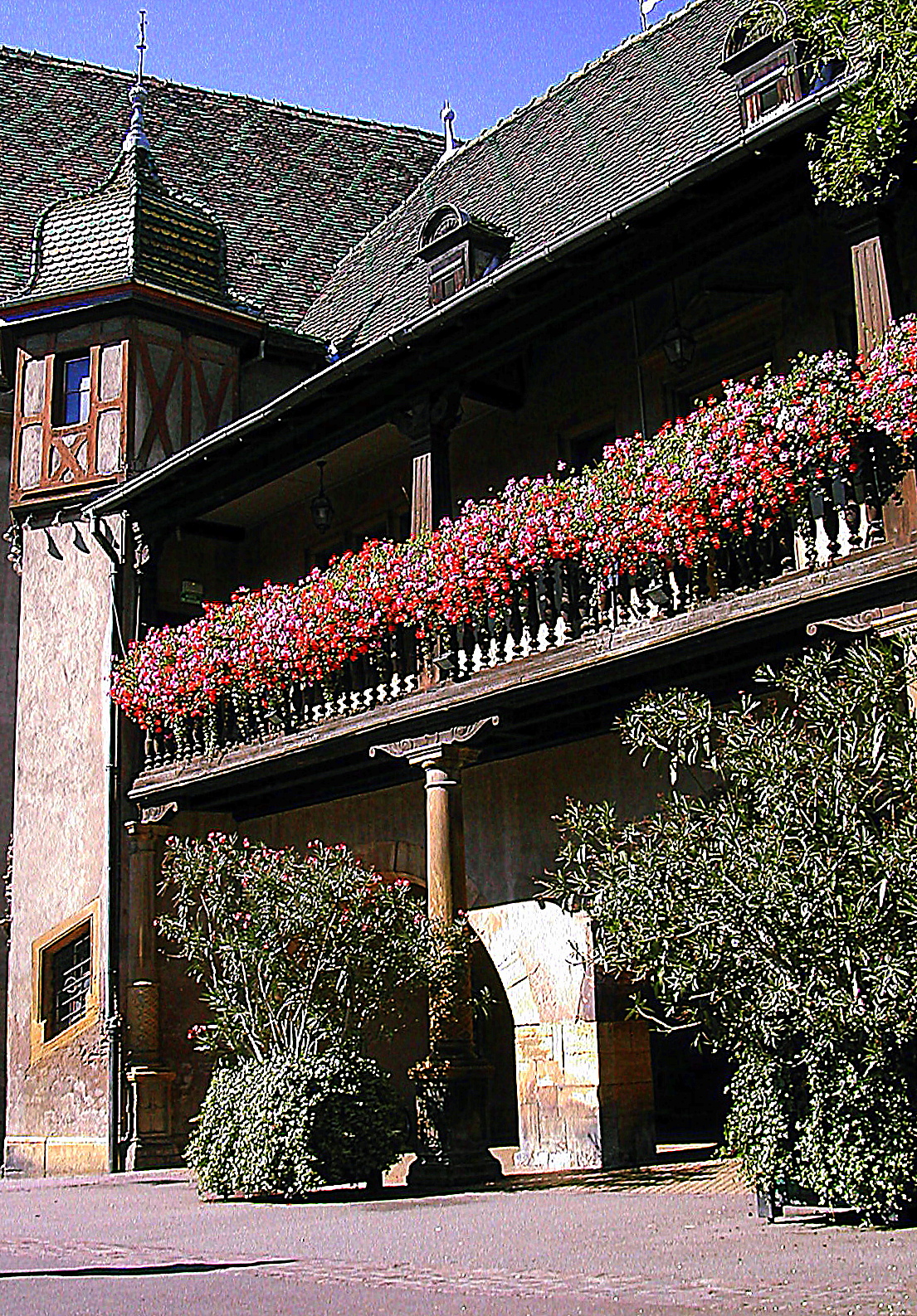 Il cuore medievale di Colmar | Viaggiatori Ignoranti