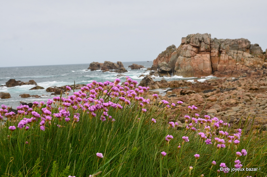 Bretagne : Plougrescant et sa maison entre les rochers
