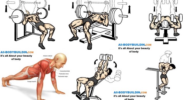 The Top 5 Chest Muscle Exercises ~ multiple fitness