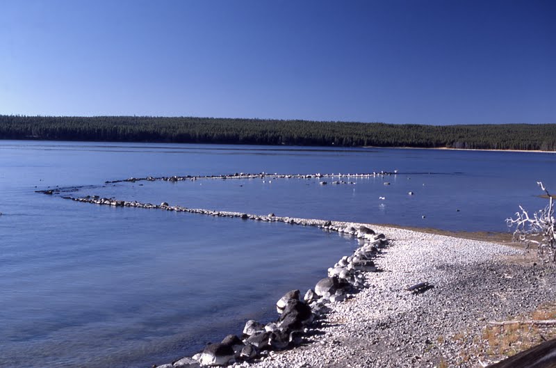 Waking Up on Turtle Island: Yellowstone Lake Weir