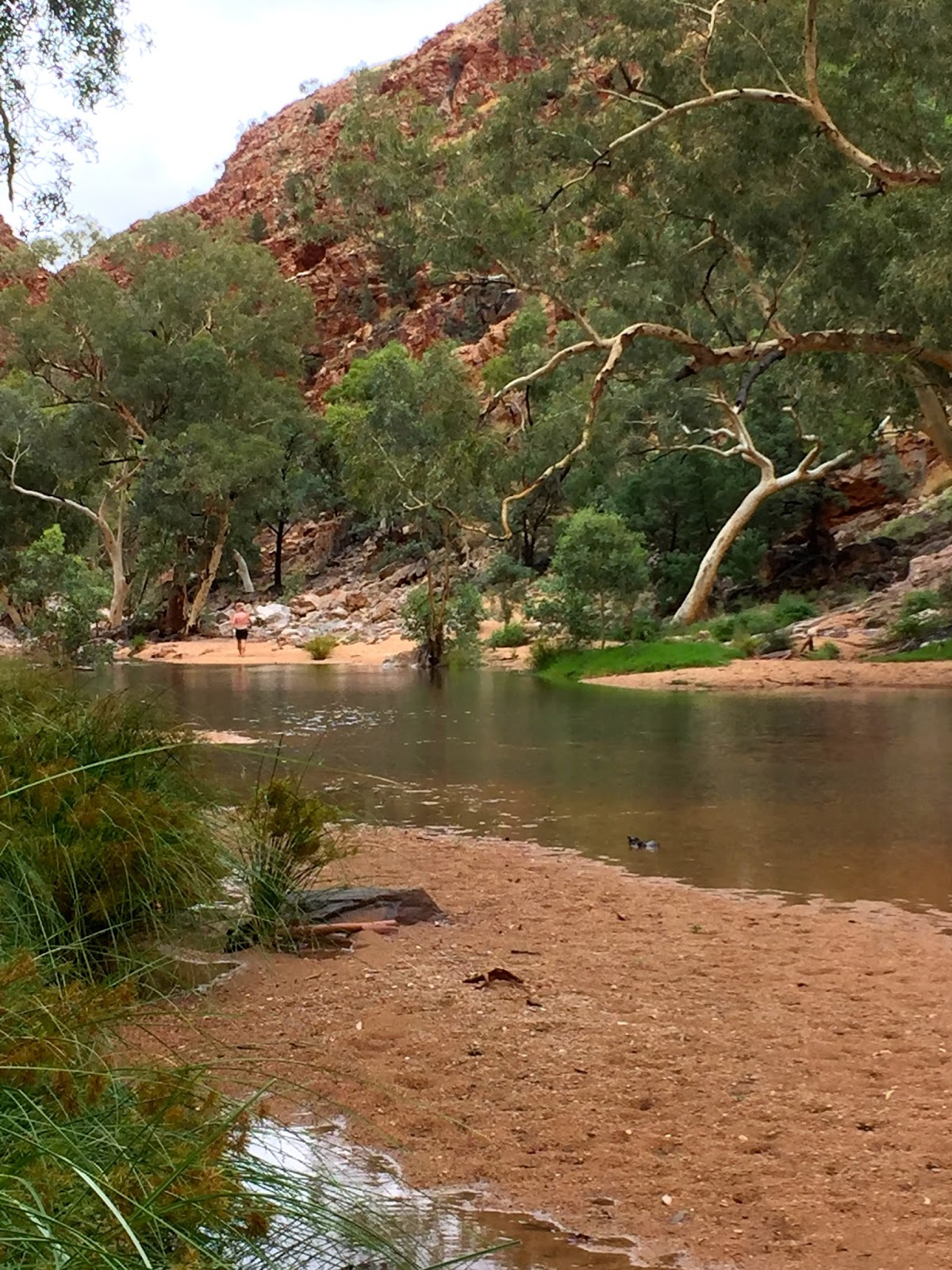 Goin' Feral One Day At A Time: Redbank Gorge, Western MacDonnell ...