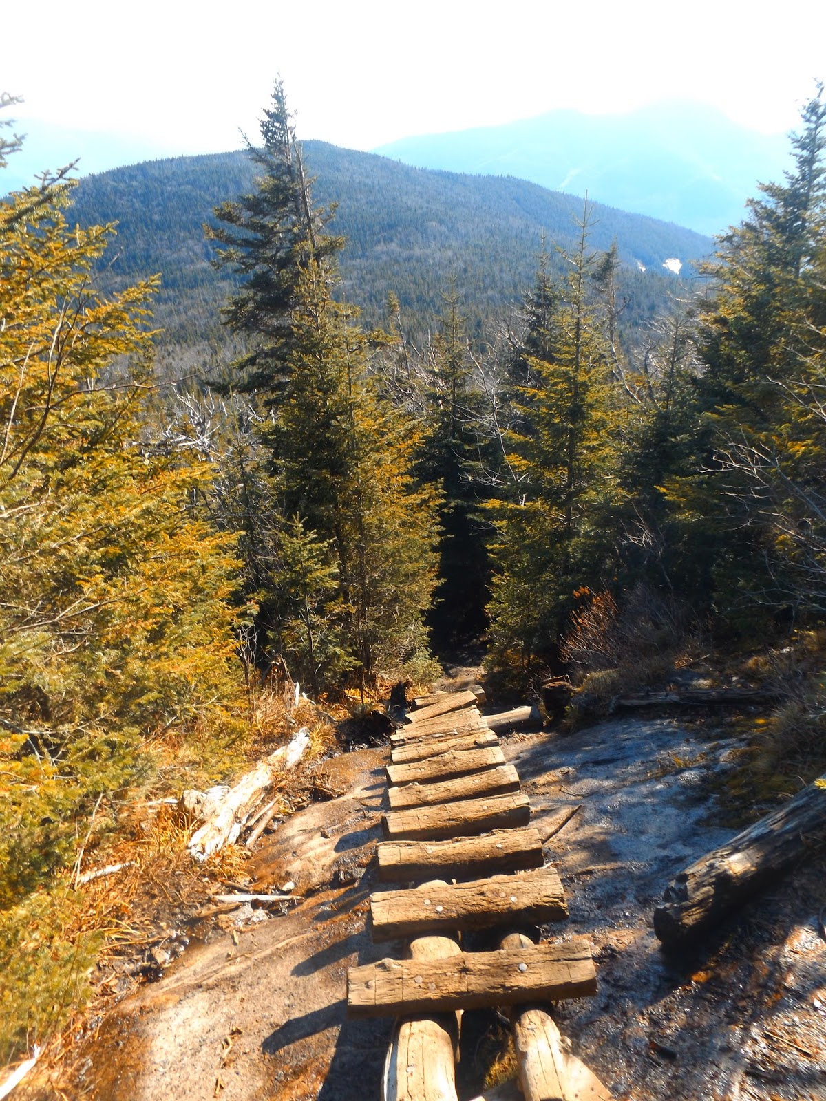 Walking Man 24 7: Big Slide Mountain & Yard Mountain(Adirondack High Peaks)