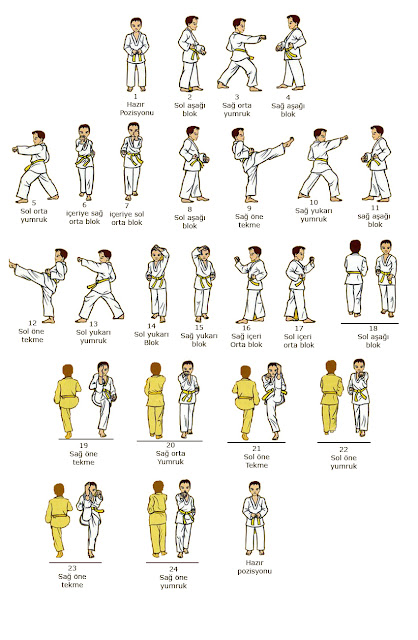 Poomse Teknik2 | Hendek Taekwondo