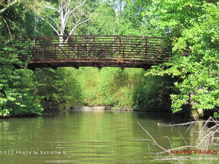 Newbie Paddler: Lake Audubon, Reston, Virginia