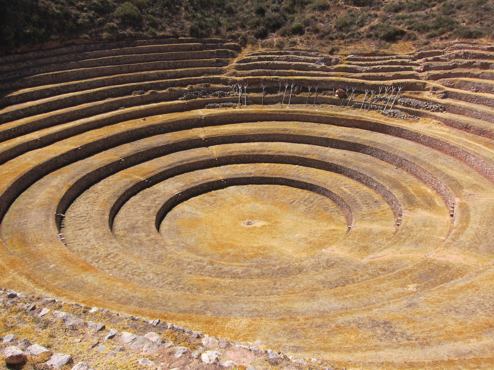 Let's begin sewing...: A million tiny stitches....