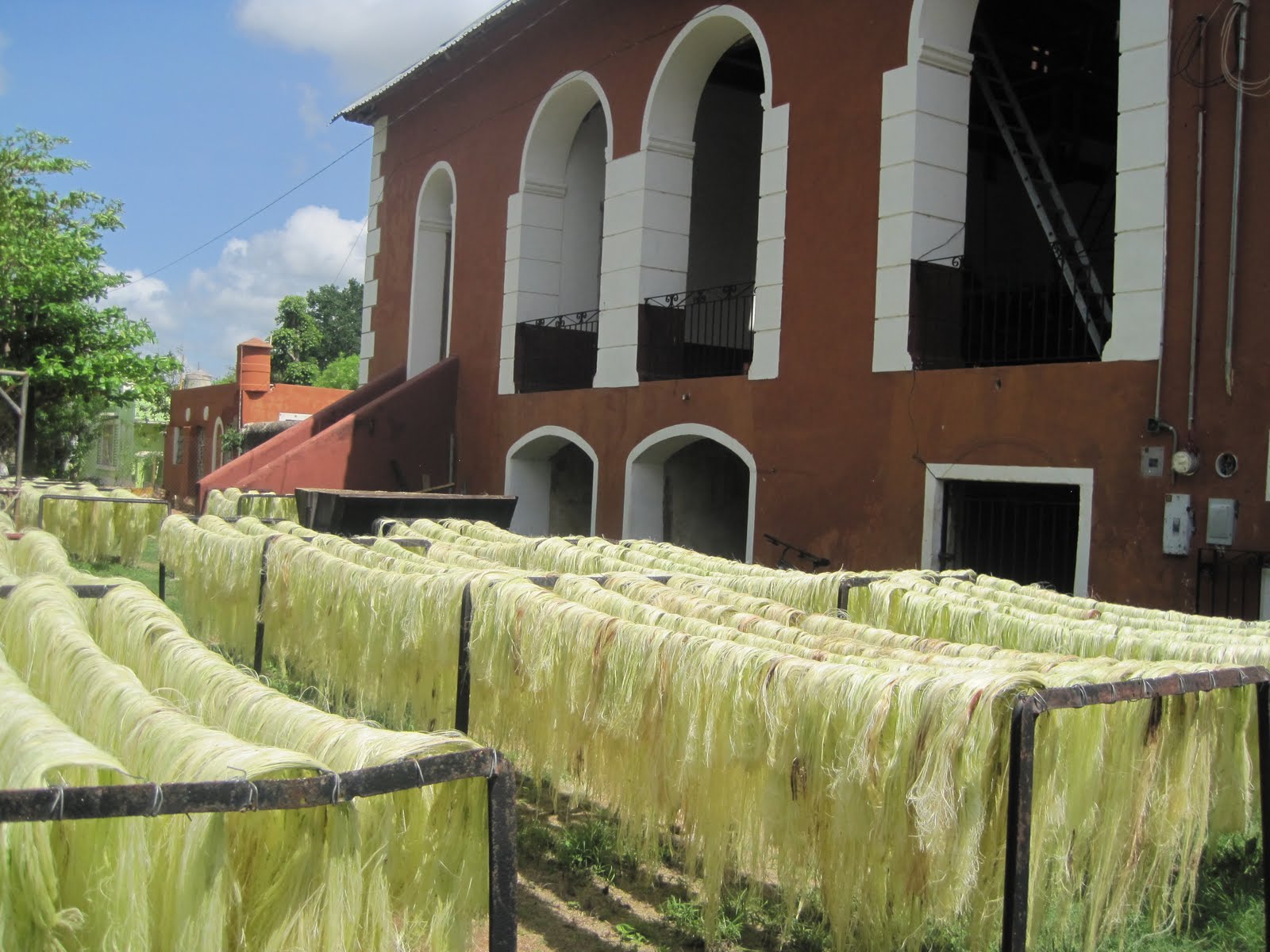 Follow Happy: Tour of the Yucatan: June 25 Merida and La Hacienda de ...