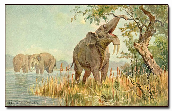ELEFANTES PREHISTÓRICOS 2ª parte | SaBer y Ocio