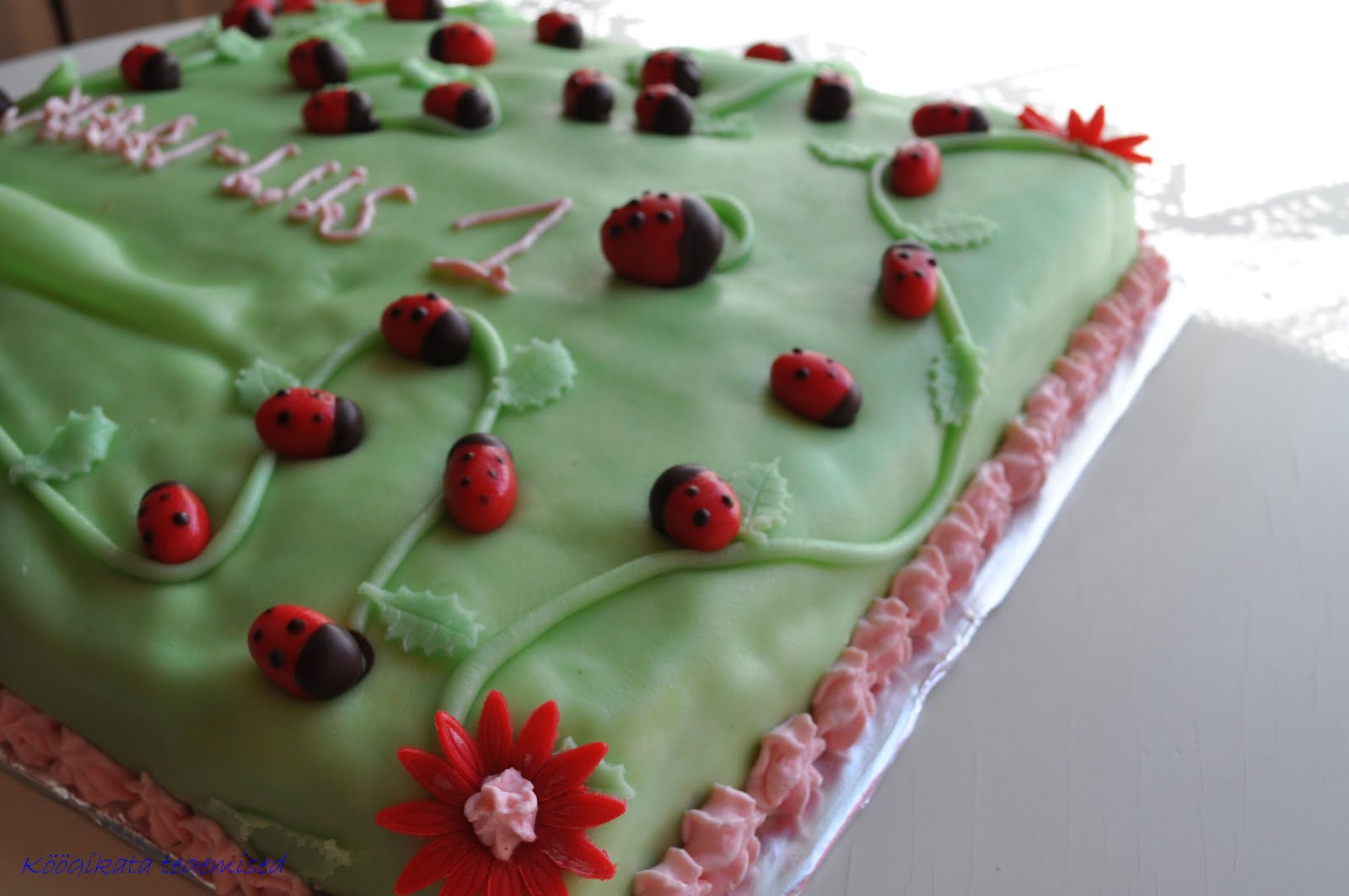 Köögikata: Tordid (51)