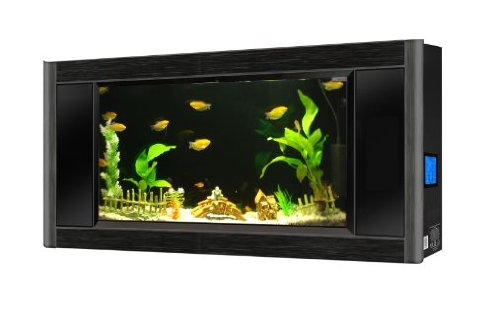 Fish Tank Aquarium for Sale: Buy Best Price: Aquavista Panoramic Wall ...