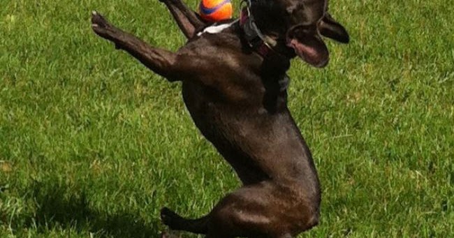 Beloved Spear: The Moment of Unfulfilled Potential