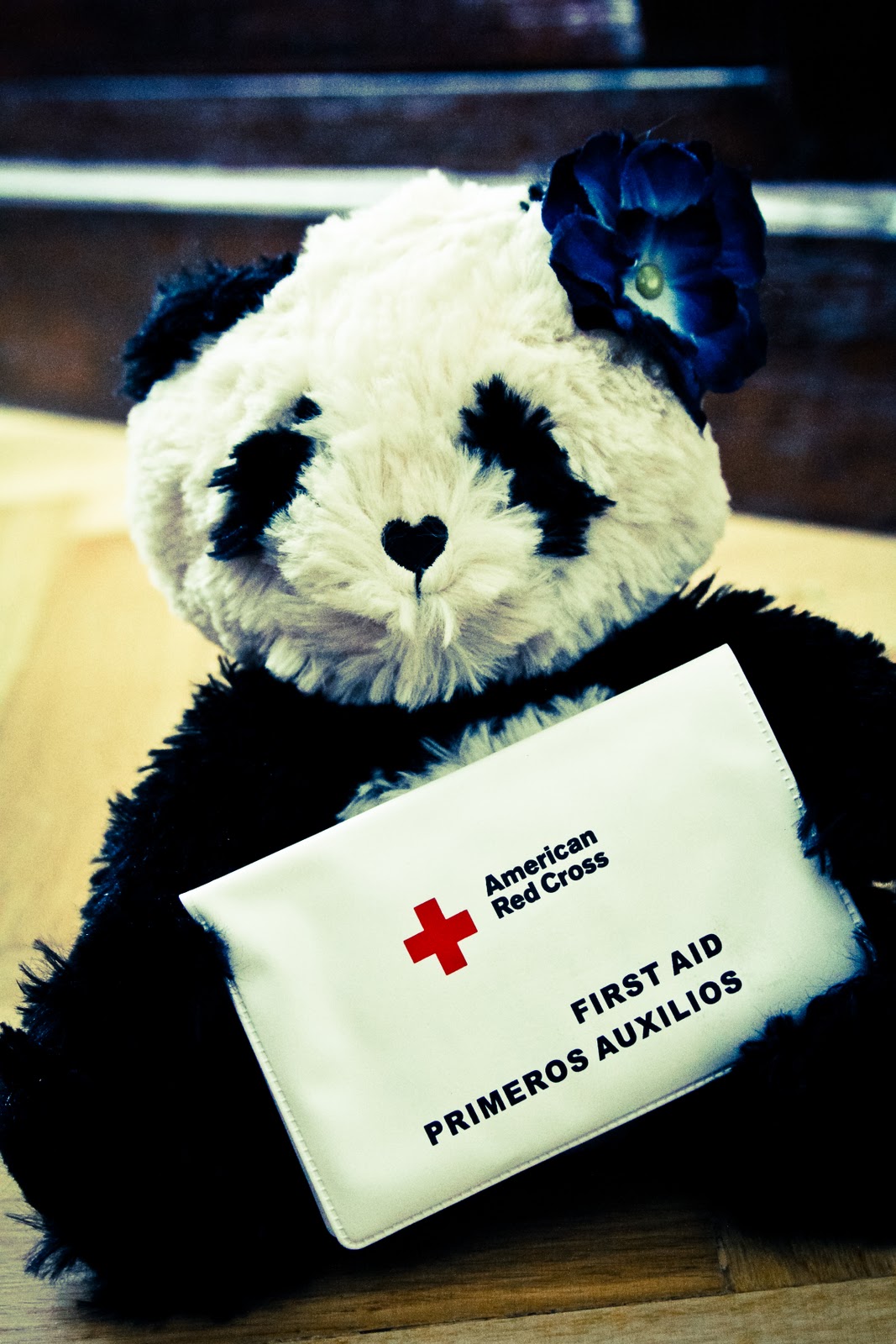 Itty Bitty Hopscotch Committee: First Aid with the Girl Scouts