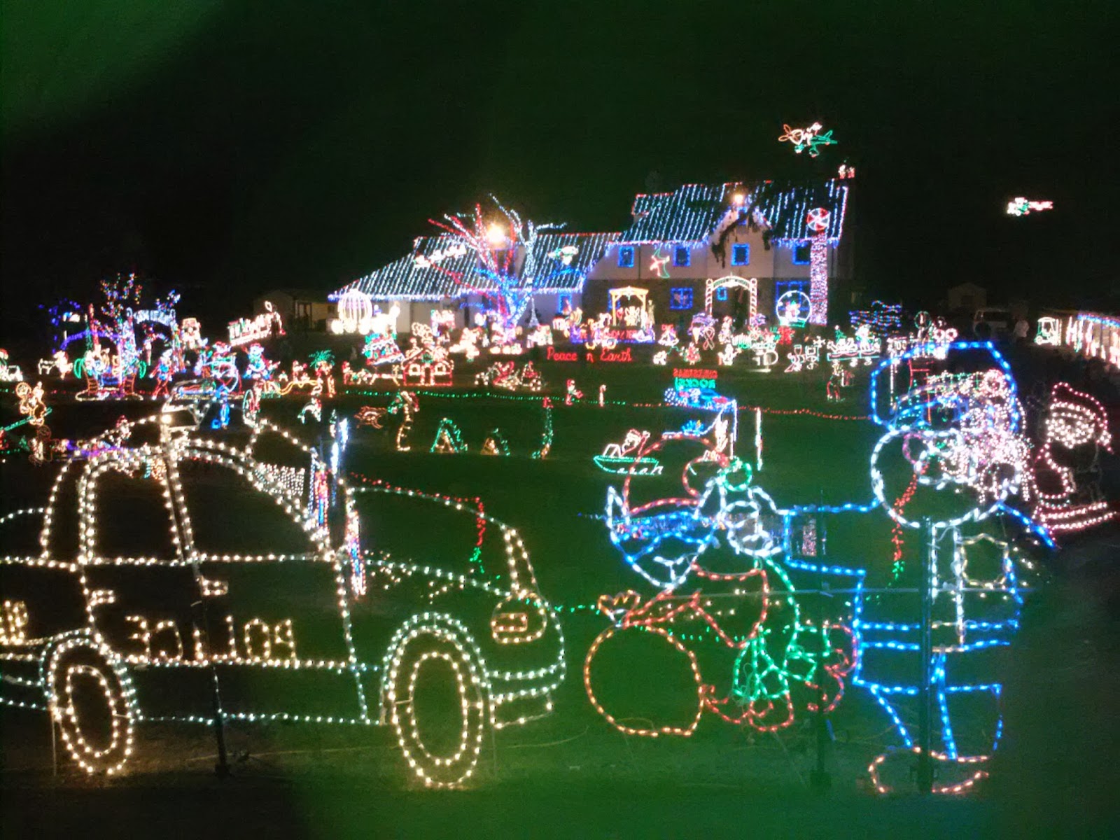 Busy Lee Family: 2013