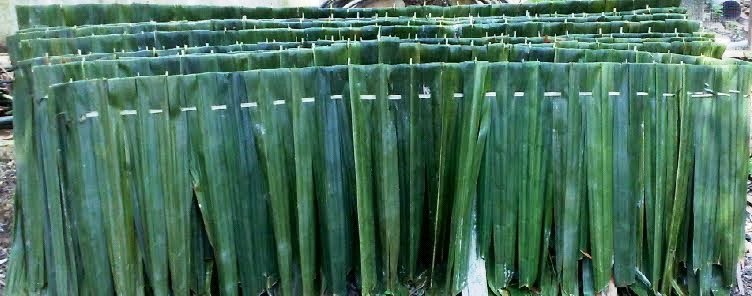 Pembekal Atap Rumbia Atap Nipah Atap Lalang Traditional Thatched Roof ...