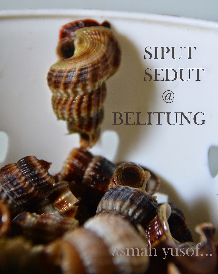 Asam Garam: SIPUT SEDUT MASAK LEMAK CILI API kena ada KELADI BARU ...