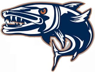 Team Barracuda: Logos