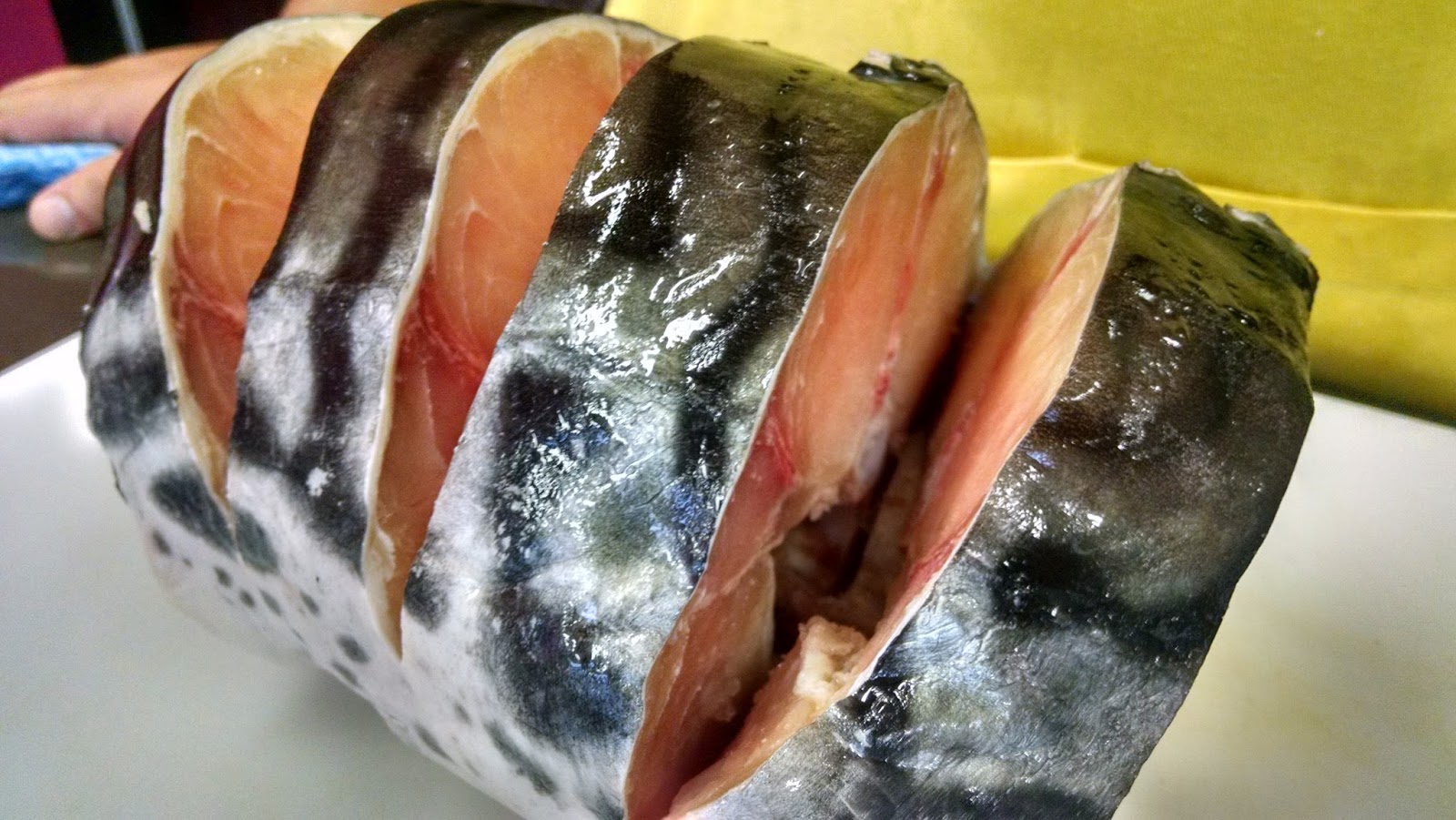 Sabor Básico: Surubim ao molho