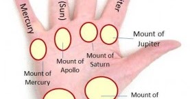 Male & Female Mounts On Hand In Palmistry ~ INDIAN PALMISTRY | PALM ...