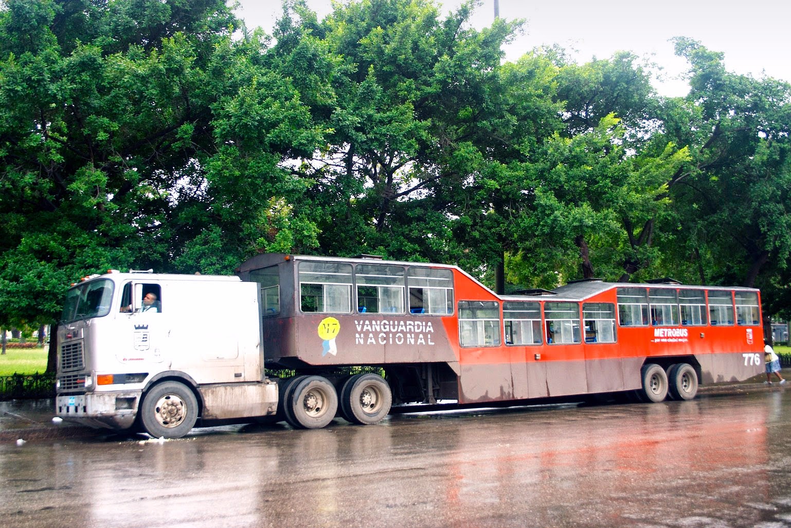 5 most unusual modes of transportation around the world - a stupid's ...