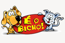 Guia das Curiosidades: Coluna é o bicho! Escorpião Imperial