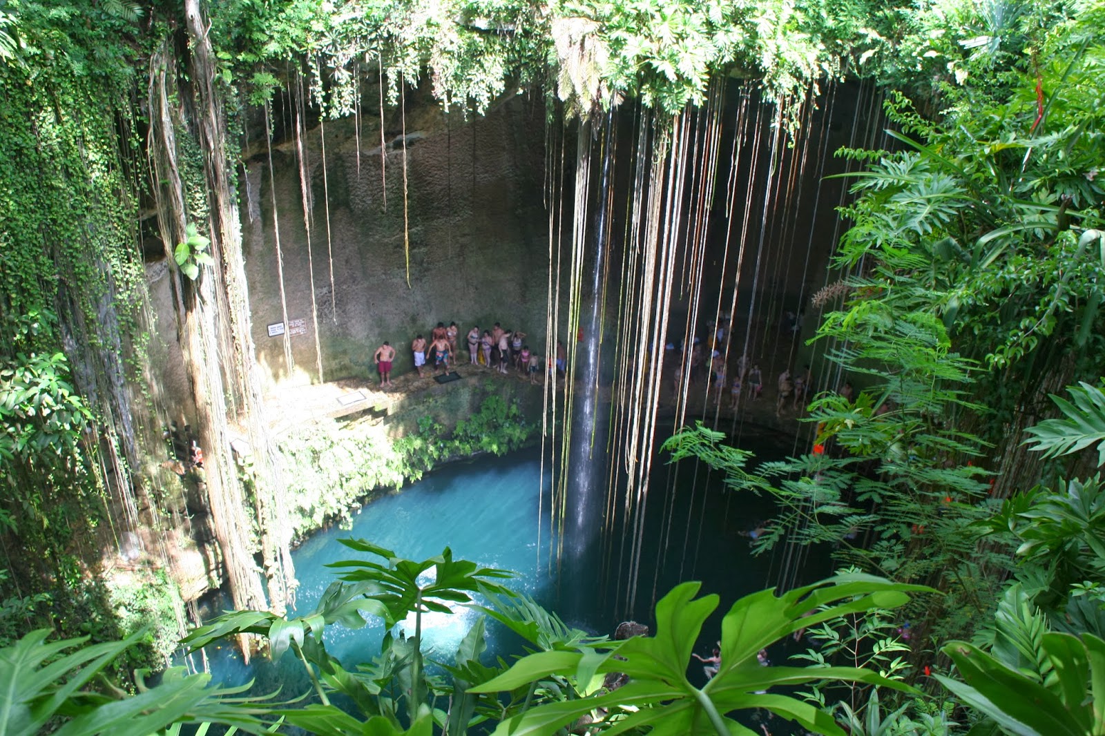 To See the Seven Continents: The Yucatan, Mexico