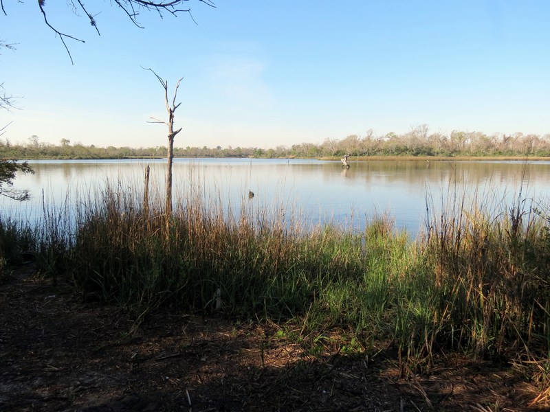 Texas Nature: Armand Bayou Nature Center Part 2