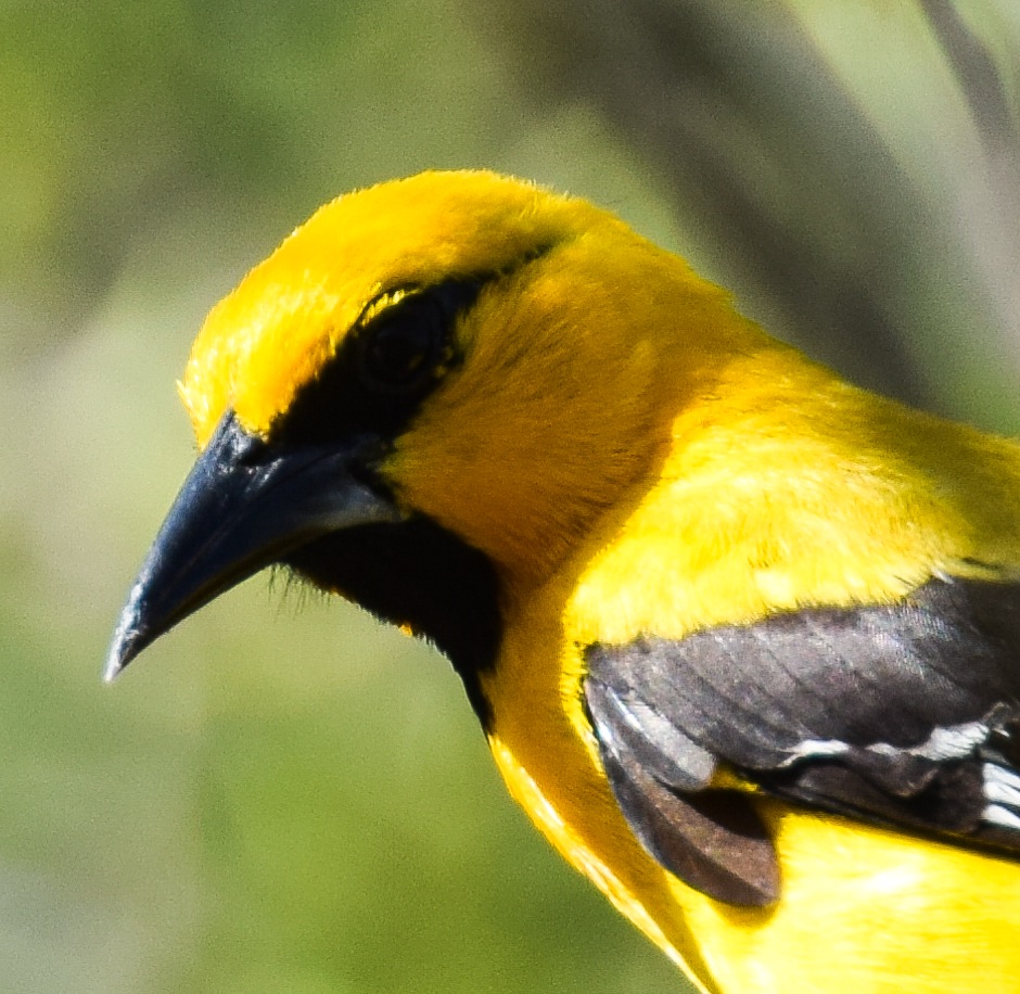 Hiking Curaçao - The Trails: Trails / wandelroutes