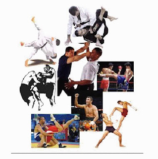 DEPORTES DE CONTACTO ARTES MARCIALES: DEPORTES DE COMBATE