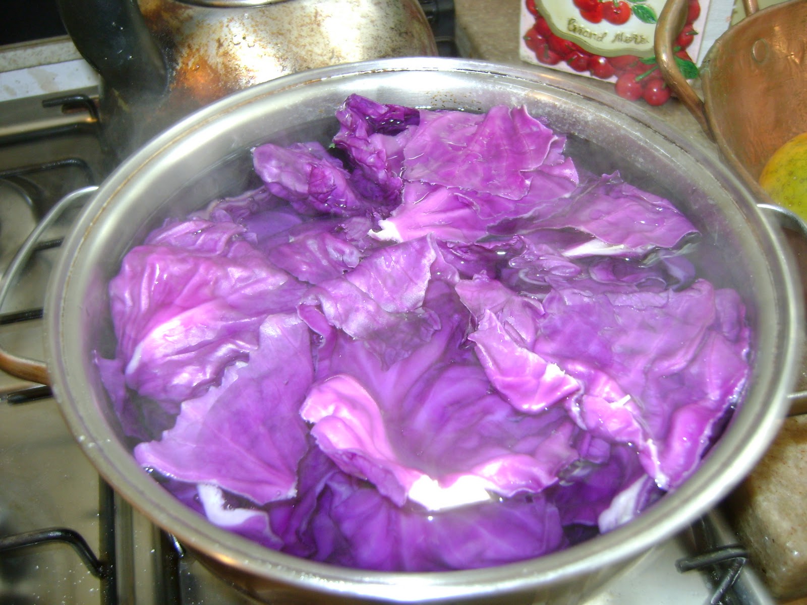 GULOSEIMAS DA LALÁ: SOPA DE REPOLHO ROXO