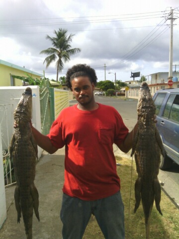 Fishing the Florida Keys with Captain Dallas Tisdale: Iguana the ...