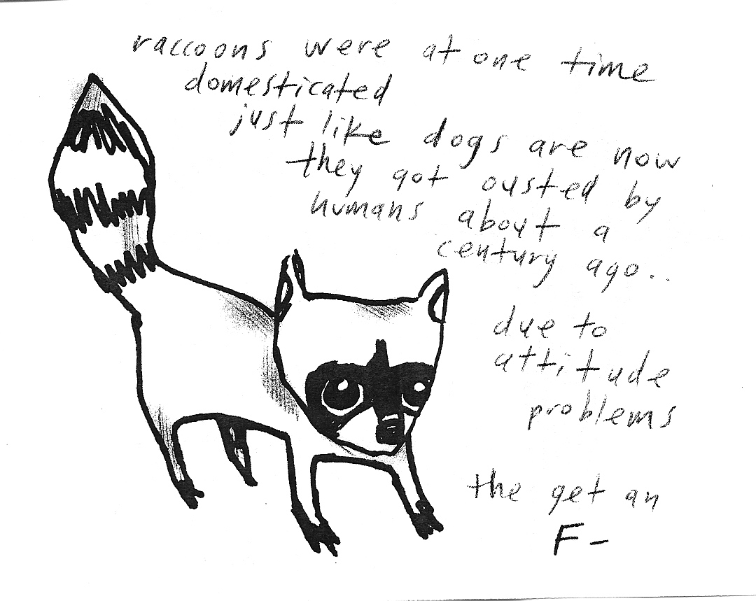 starheadboy: little know facts (mini zine)