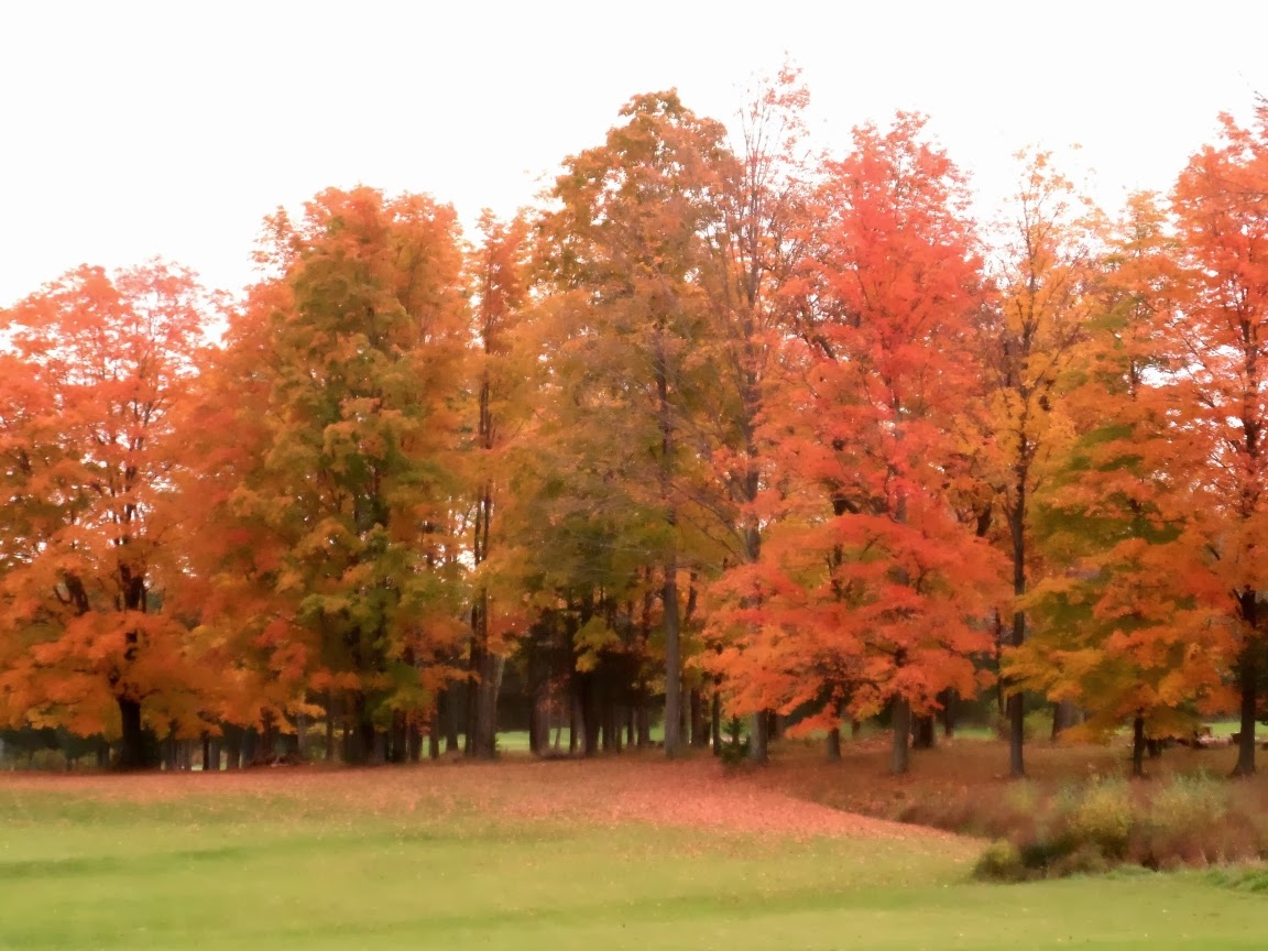 Hudson Valley Resort & Spa: Fall Foliage at Hudson Valley Resort