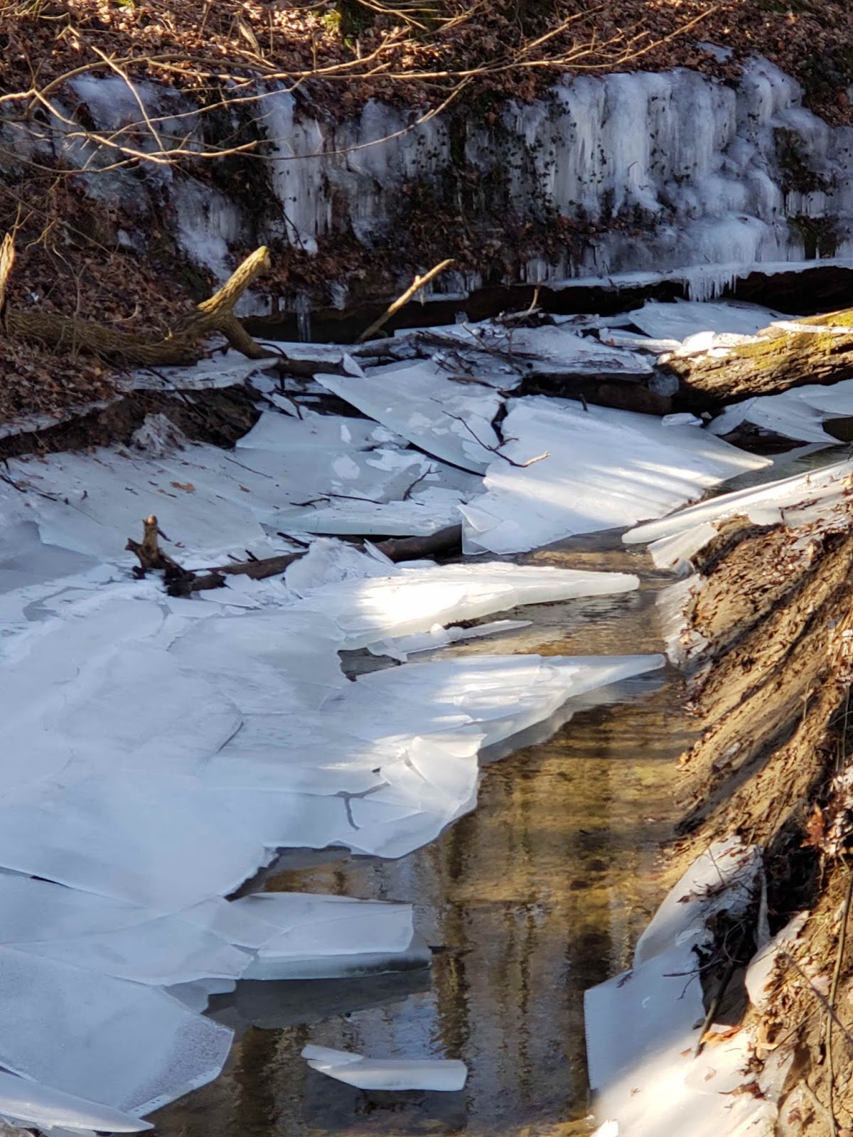 Greenbow: February Thaw