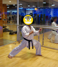 Karate Shito Ryu y Zen: Posiciones