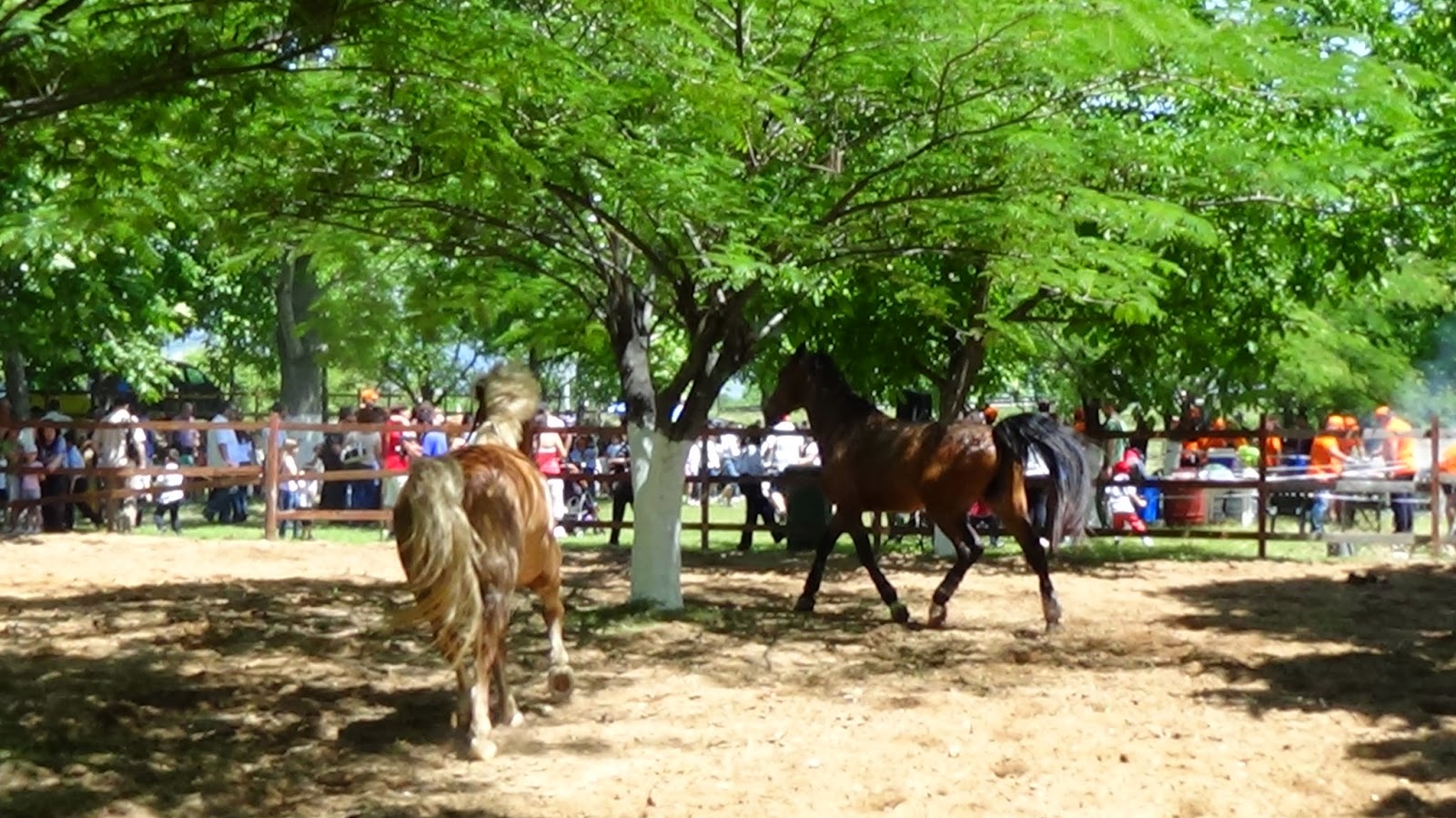 Δημιουργική Κίνηση για την Ανατροπή: ΠΑΡΟΥΣΙΑ ΤΟΥ ΔΗΜΑΡΧΟΥ ΔΟΞΑΤΟΥ ...
